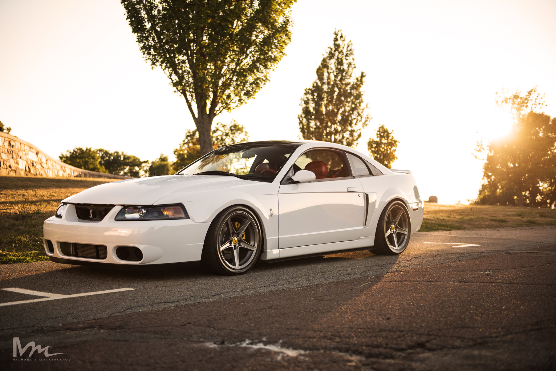 A Tastefully Modded ’03 Termi – slammedstangs | Ford Mustang Builds ...