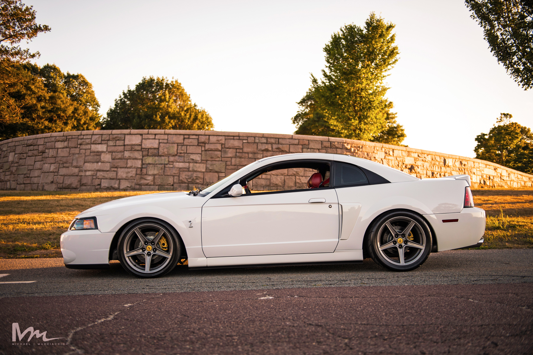 A Tastefully Modded ’03 Termi – slammedstangs | Ford Mustang Builds ...